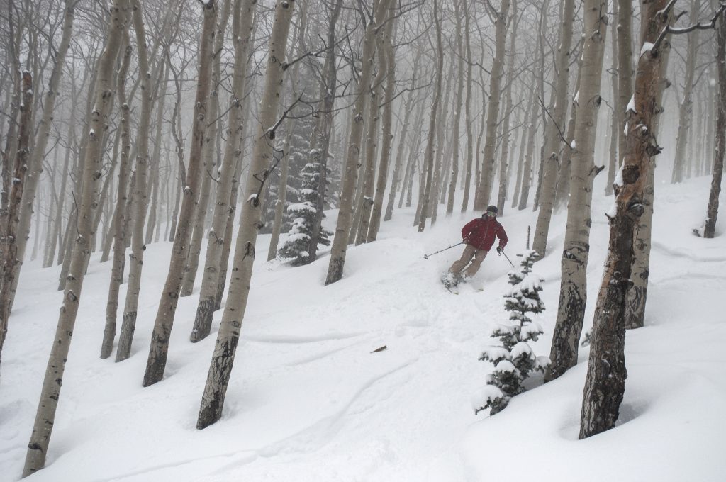 Three Keys to Tree Skiing | Inside Steamboat