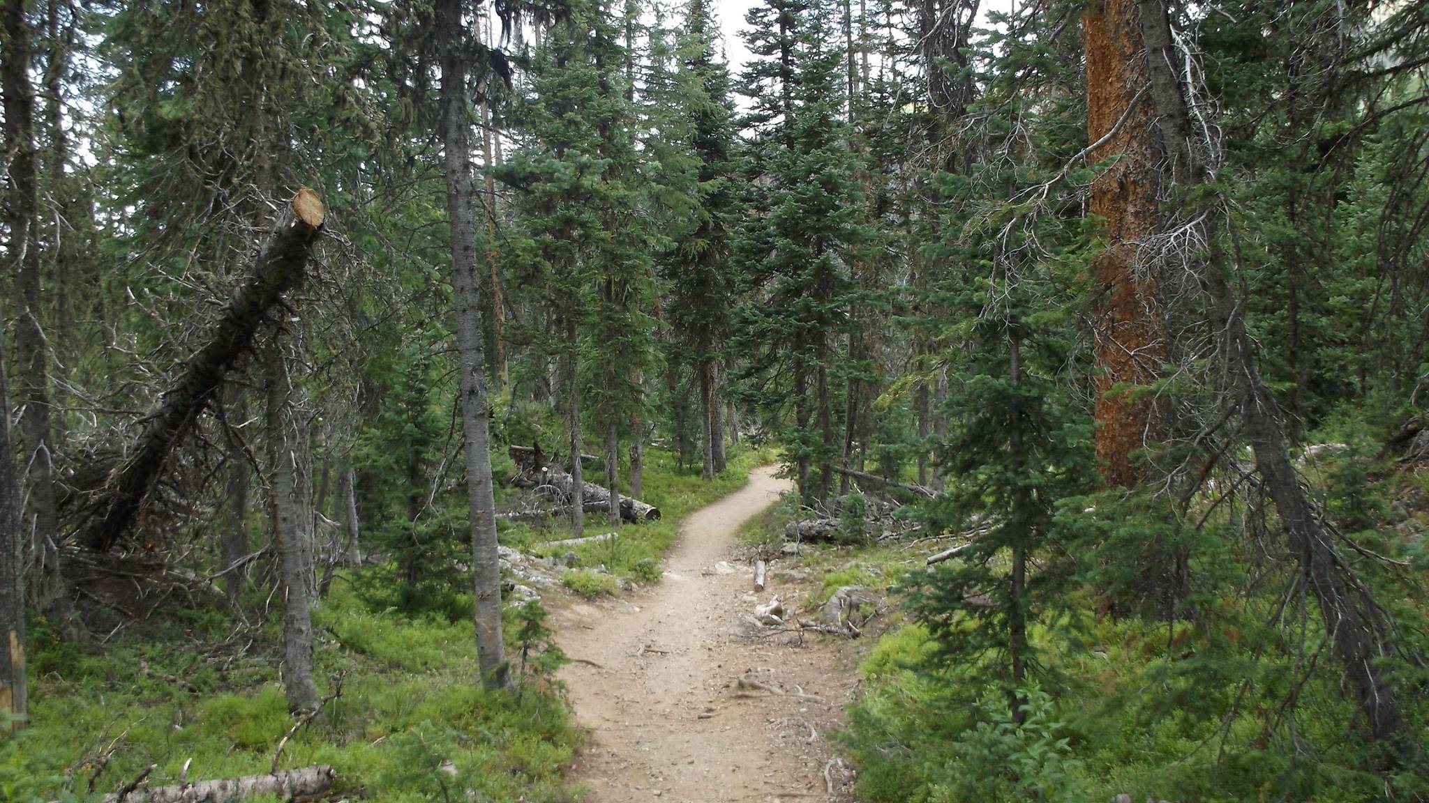 Mount Zirkel Wilderness Area | Inside Steamboat